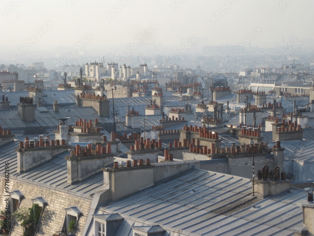 Paris's pretty zinc roofs in the winter mist - Jolis toits de Paris en ...
