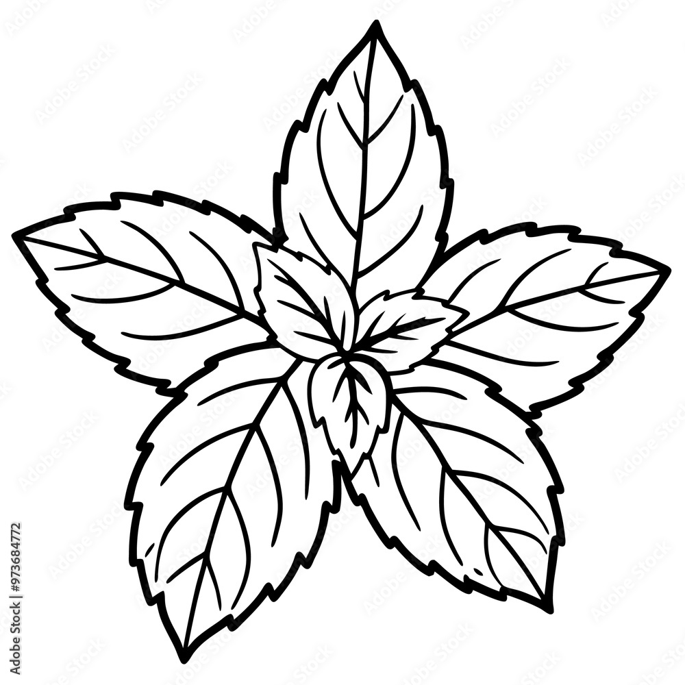 mint leaves outline coloring book page line art drawing Stock Vector ...
