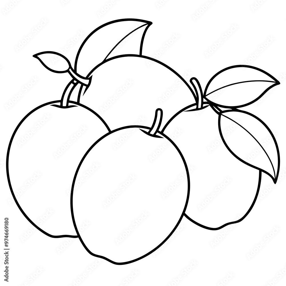 various mangoes outline coloring book page line art drawing Stock ...
