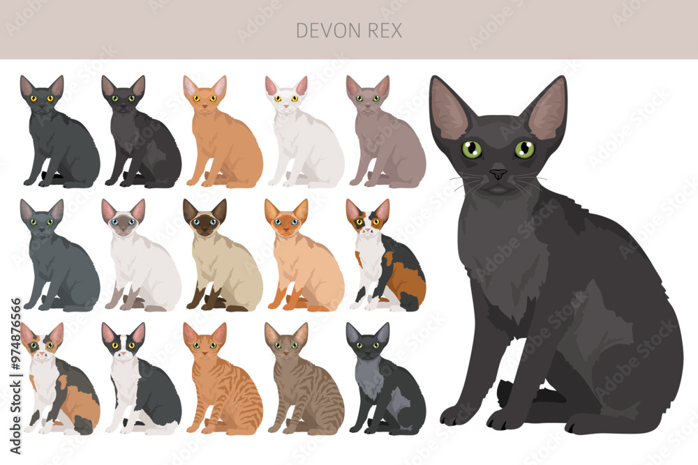 Devon Rex Cat clipart. All coat colors set. All cat breeds ...
