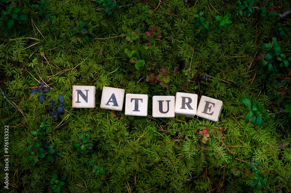 World Environment Day. World Climate Change Day. Clean Air Day. UN ...