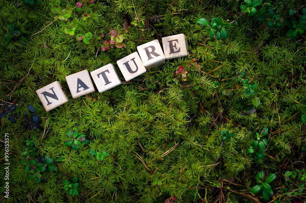 World Environment Day. World Climate Change Day. Clean Air Day. UN ...