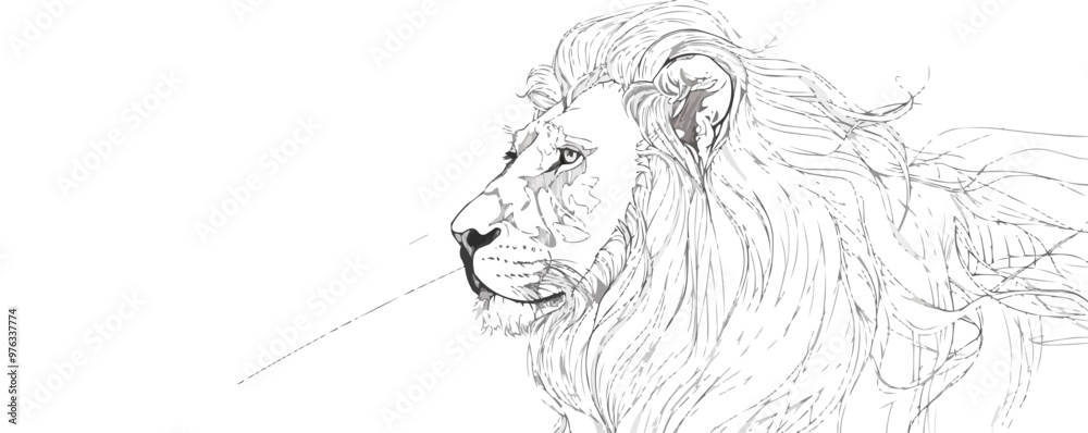 Continuous one line drawing lion with mane on a white background ...