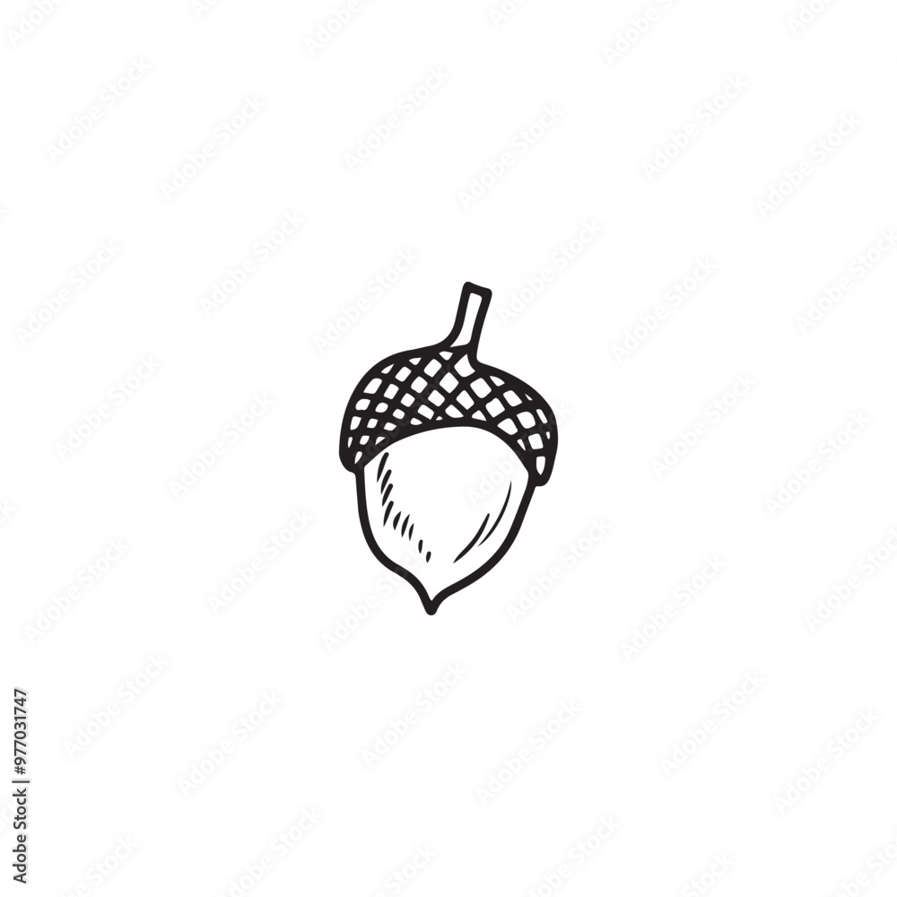Realistic acorn drawing with cap in black isolated on white background ...