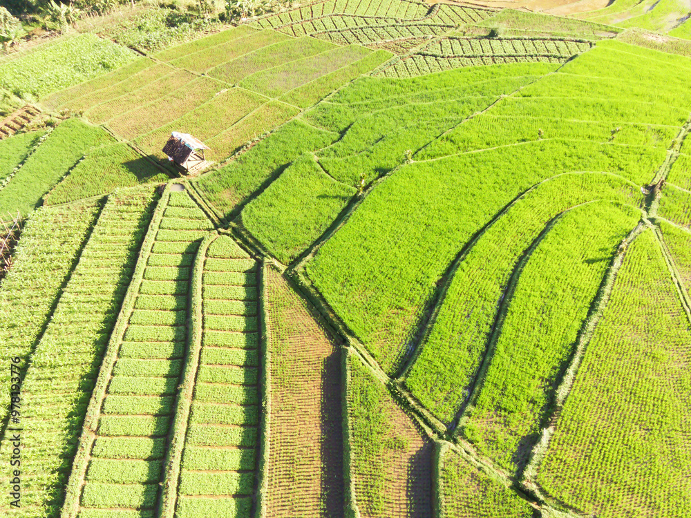 Beautiful Panoramic Landscape Hut in the middle of terraced rice fields ...