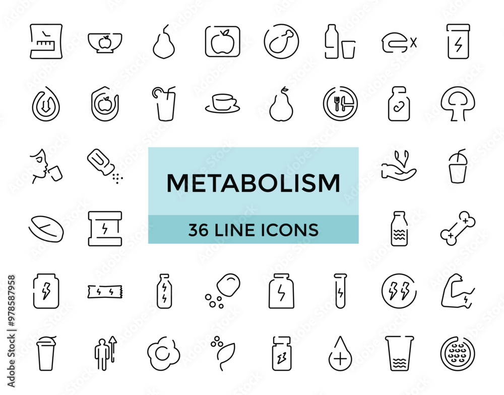 Metabolism icons collections outline vector. Torso health. Detox ...