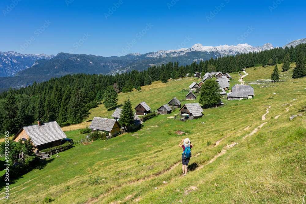 Foto de Stock Urlaub in Slowenien, Pokljuka, Wanderung zum Bergdorf ...
