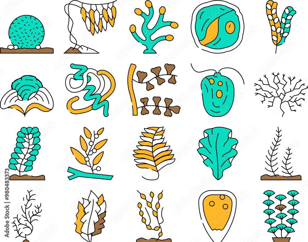 Seaweed Sea Underwater Plant Icons Set Vector. Padina And Japanese Kelp ...
