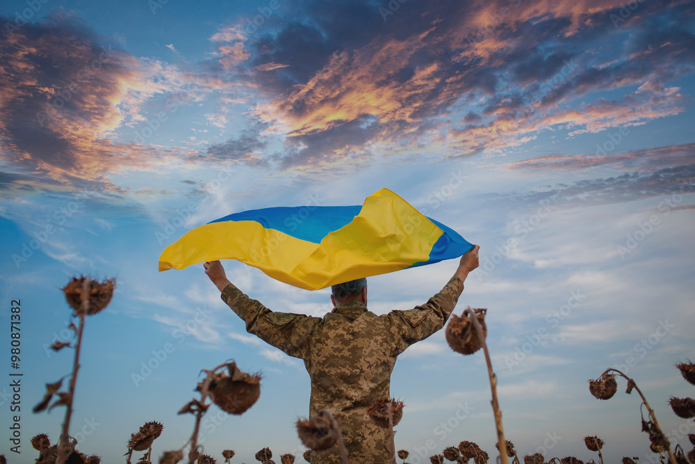 Ukrainian soldier holds Ukrainian flag in sunflower field. Remembrance ...