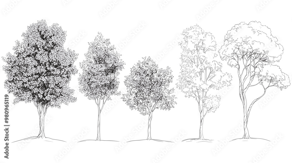 Architectural Drawings, Minimal style cad tree line drawing, Side view, set of graphics trees ...