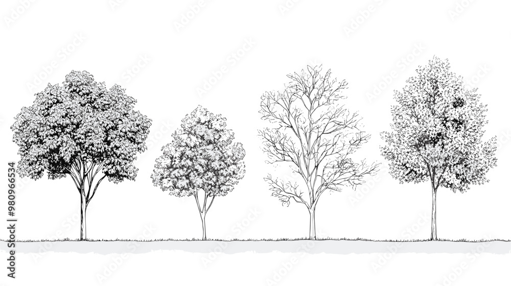 Architectural Drawings, Minimal style cad tree line drawing, Side view, set of graphics trees ...