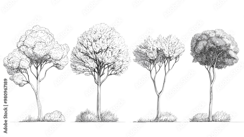 Architectural Drawings, Minimal style cad tree line drawing, Side view, set of graphics trees ...