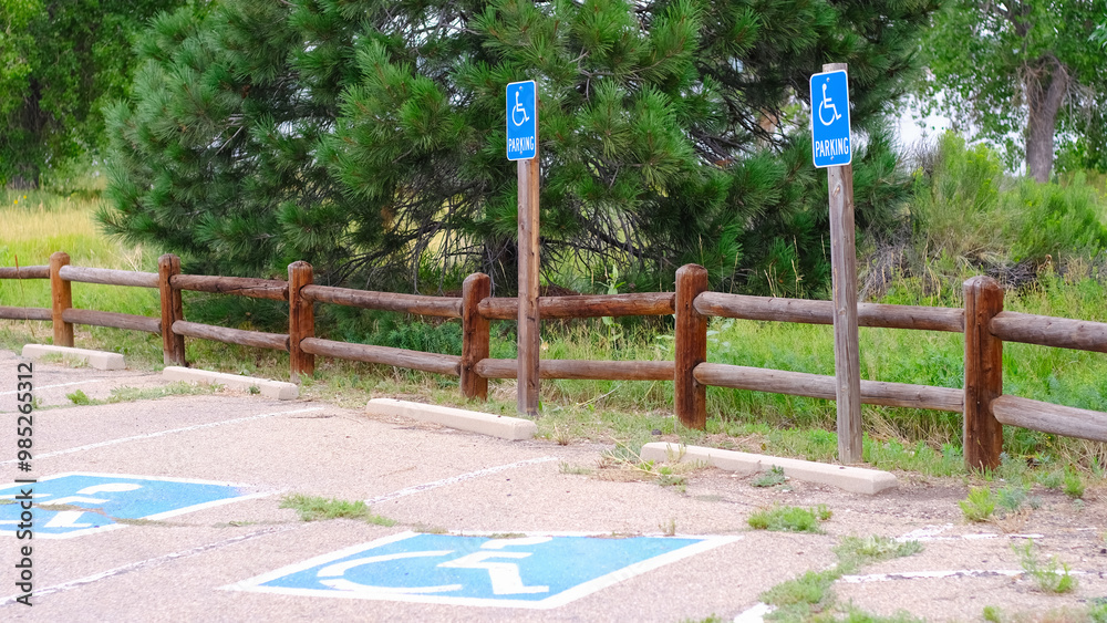 Accessible parking spaces marked by blue signs and painted symbols of ...