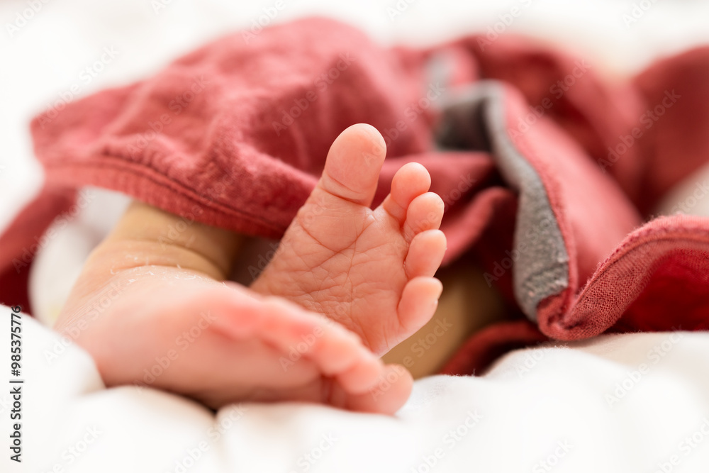 Tiny new born baby son feet Stock Photo | Adobe Stock