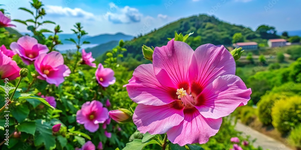 The stunning blooming national flower of Korea symbolizes peace and ...