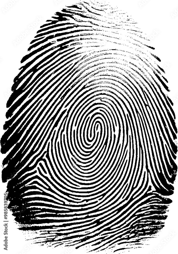 Vector fingerprints Transparent background fingerprint scanning. Stock ...