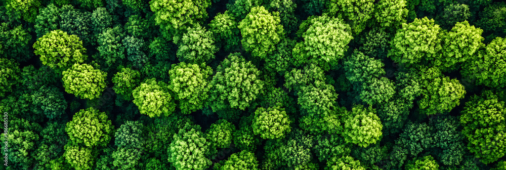 Ai deforestation detection in environmental monitoring where artificial ...