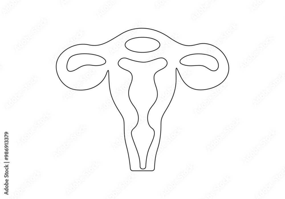 Female reproductive uterus of continuous one line drawing. Isolated on ...