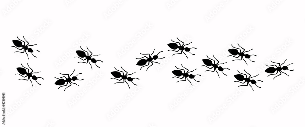 Insect Insects ant ants emmet pismire banner Vector icon icons sign ...