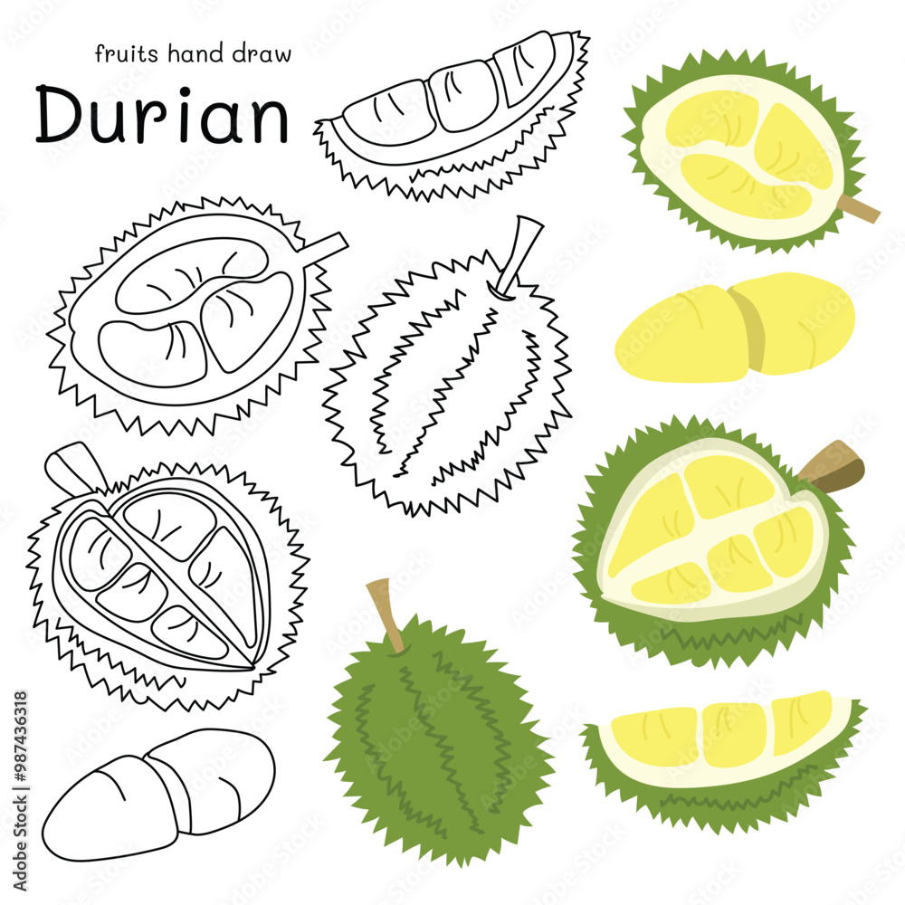Durian doodle hand drawn outline and colors for kid, Package, labels ...