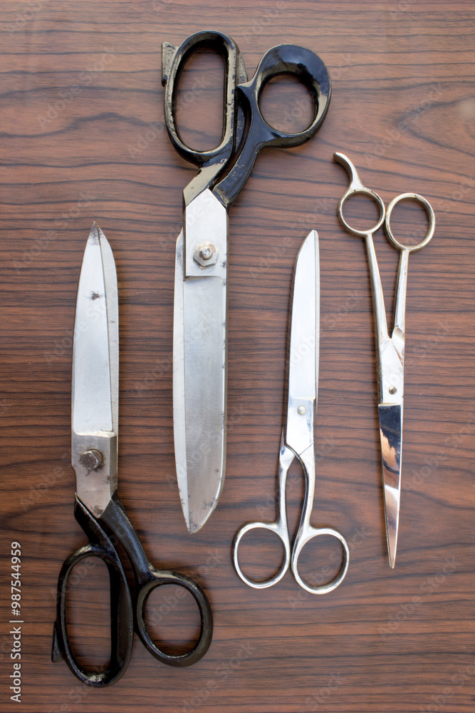 Educational Resource: Types of Scissors. A visual resource showcasing ...