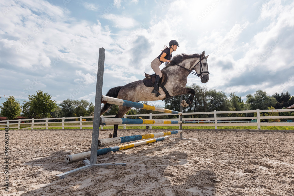 Girl on a dapple gray horse practicing jumping over a log fence in the ...