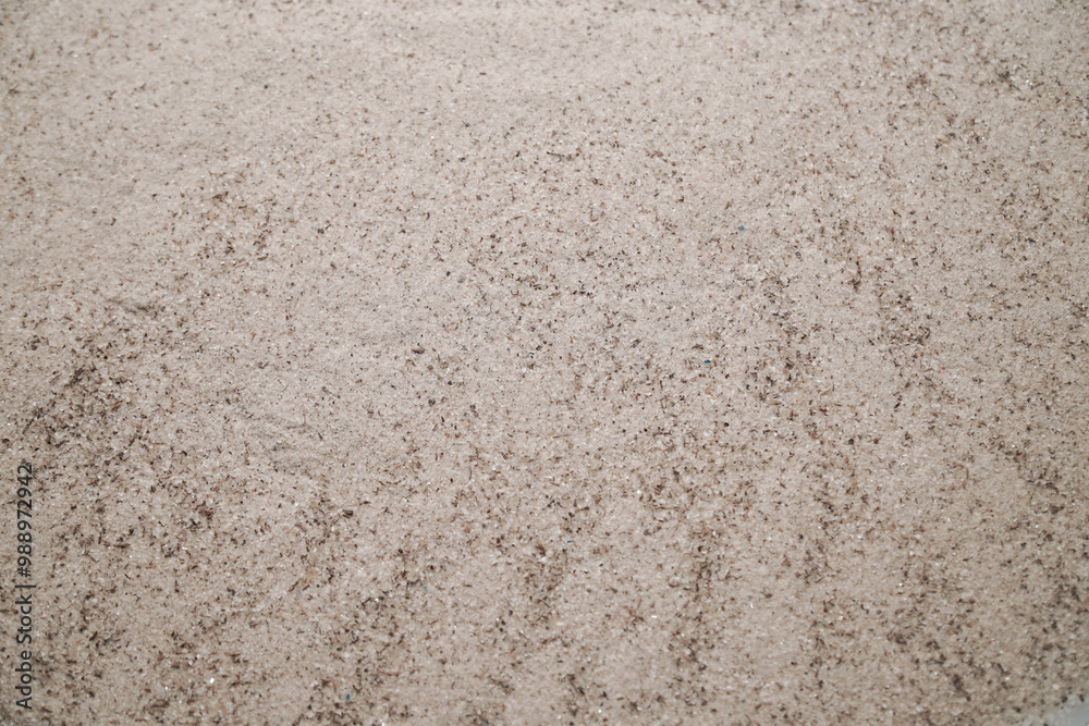 Aromatic heap of Damar Mata Kucing (Shorea Javanica) resin gum fine ...