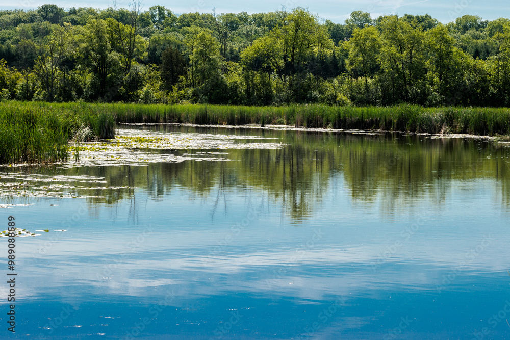 Foto de Stock Looking over the Oconomowoc River with its shoreline of ...