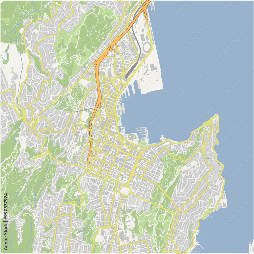 Map of Wellington center in New Zealand in a normal road map style ...