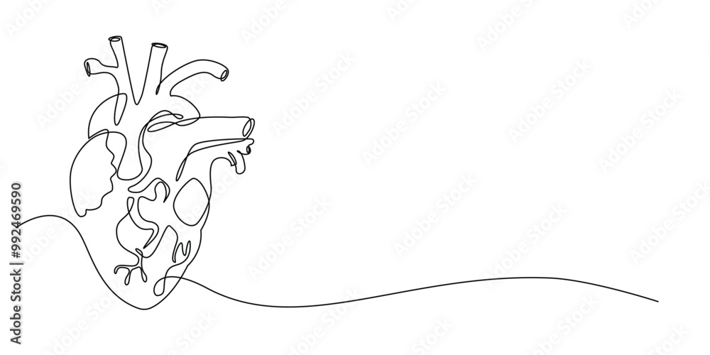 continuous line human heart anatomy.one line drawing of human organ ...