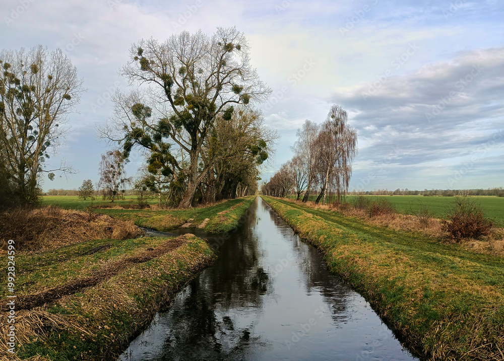 drainage ditch for lowering groundwater levels with a lateral inflow ...