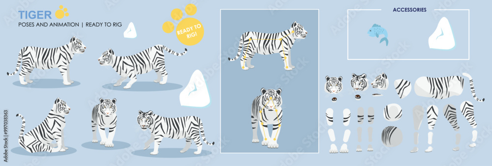 Cute snow Tiger ready for animation multiple poses set collection with ...