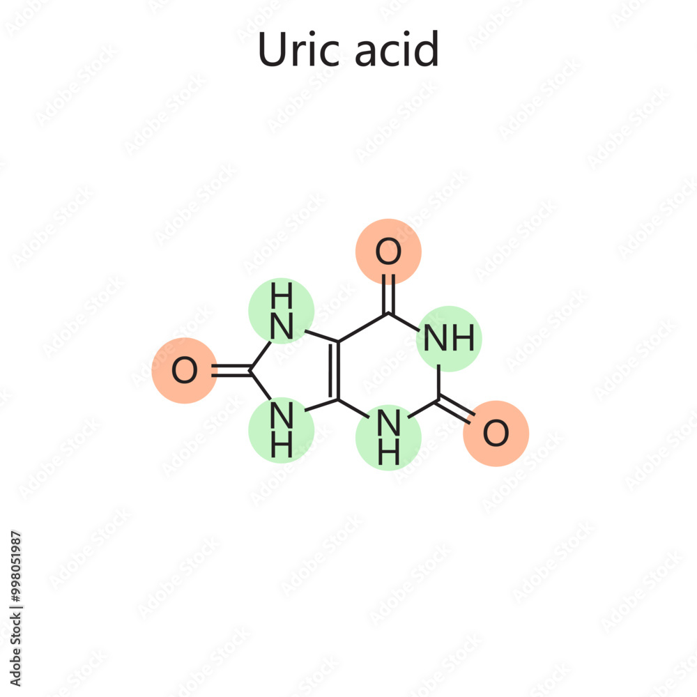 Chemical organic formula of uric acid diagram hand drawn schematic ...