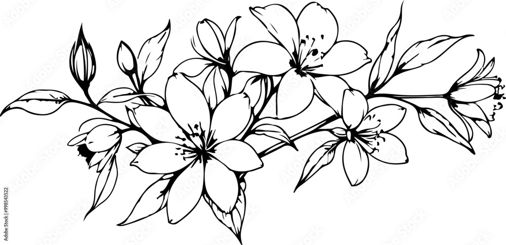 Flowers Line Art Vector Drawing. Linear Drawing of Floral Contour ...