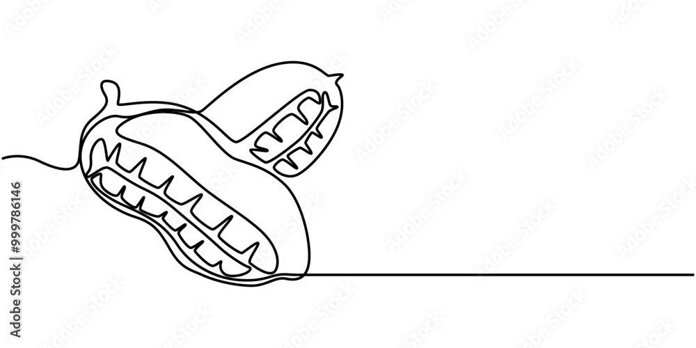 Peanut simple vector drawing. One continuous line art border ...