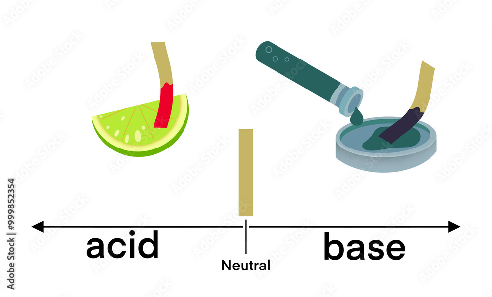 acid and base testing using litmus paper. On the left, a lime shows the ...