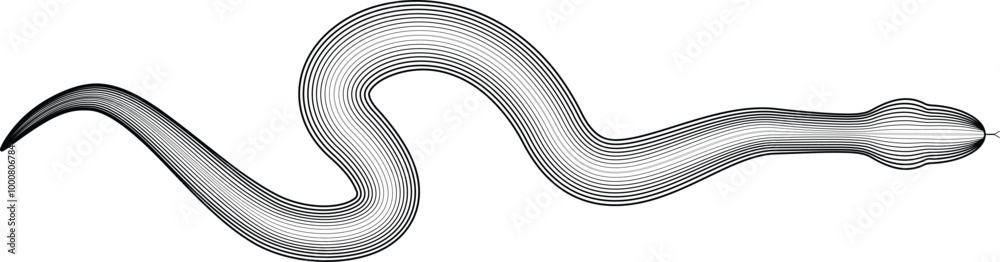 Chinese new year 2025 zodiac snake symbol .design elements . Year of ...