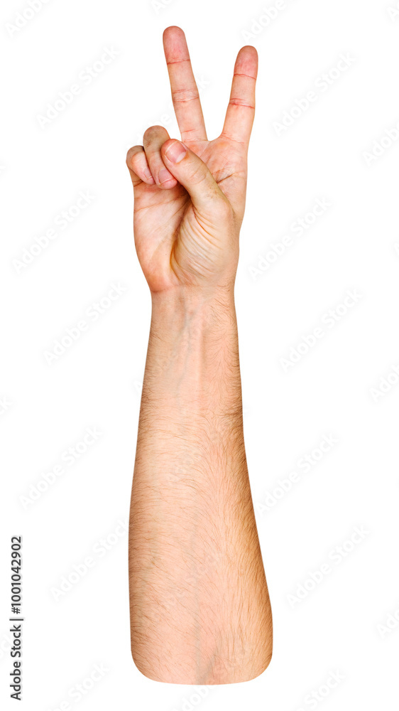V sign png hand gesture on transparent background Stock Photo | Adobe Stock