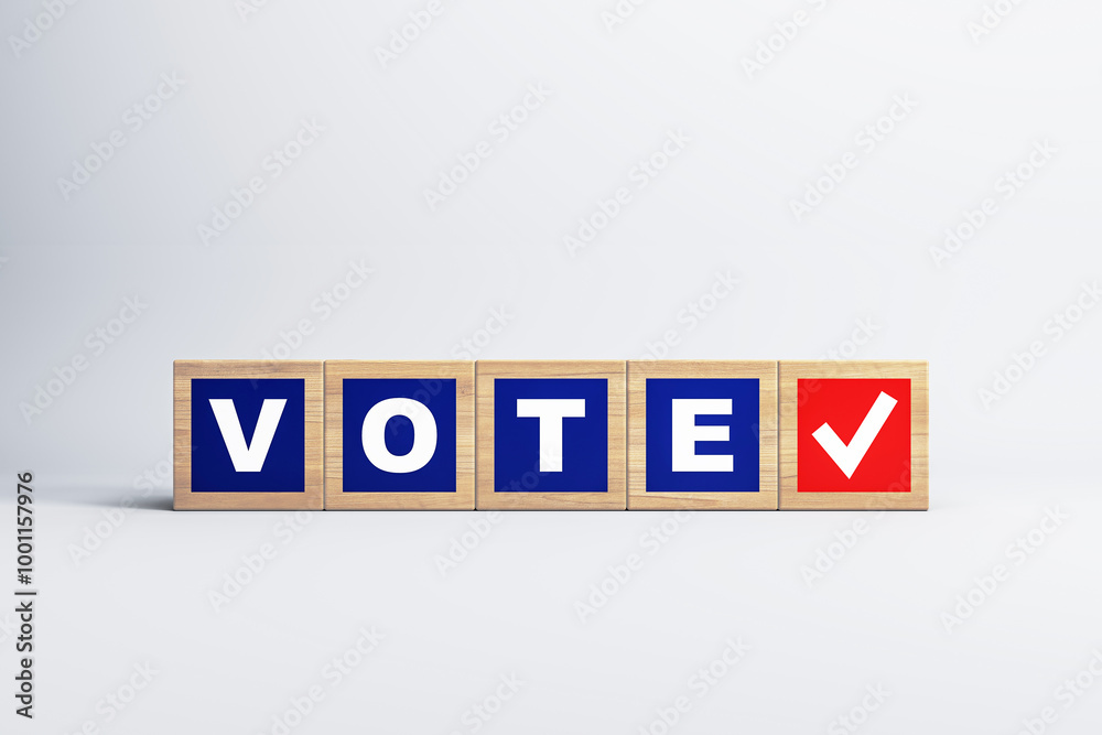 Wooden blocks spelling VOTE with a checkmark on a plain background. 3D ...
