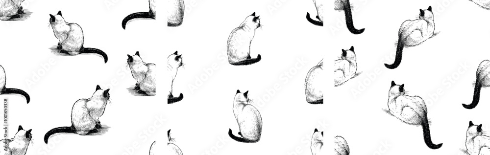 Seamless backgrounds of sketches puredred domestic siamese cat ...