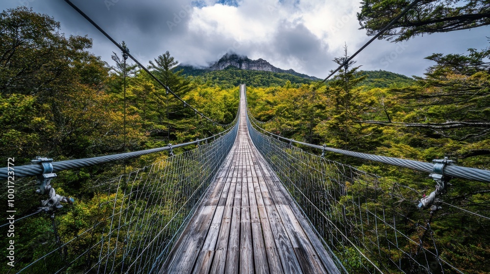 Spectacular view of Grandfather Mountain’s Mile High Swinging Bridge ...