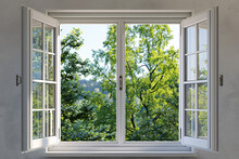 Spring Garden Window Frame View Free Stock Photo - Public Domain Pictures