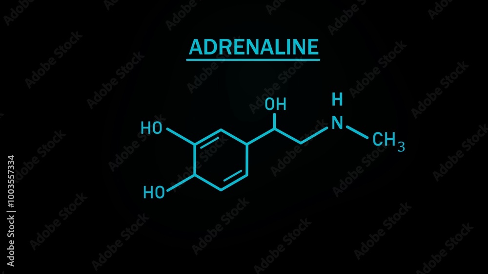 Adrenaline or epinephrine hormone chemical structure Stock Photo ...