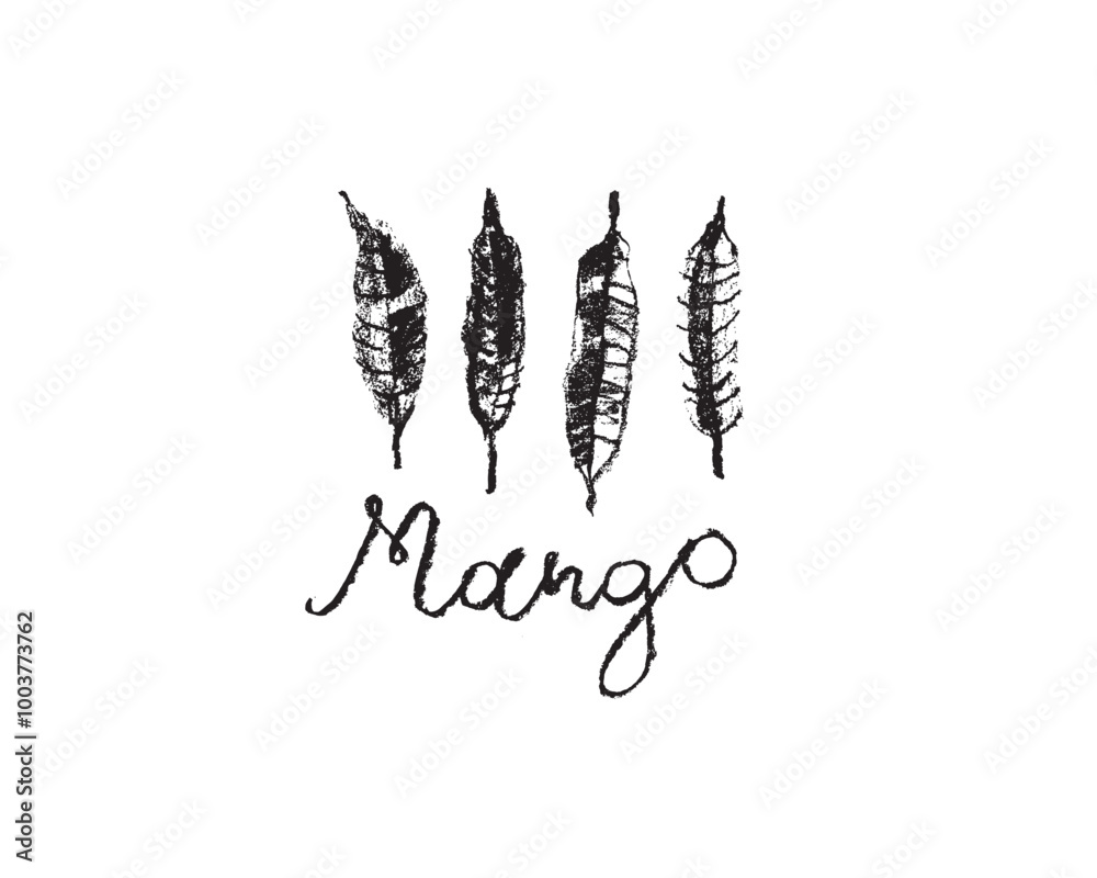 Vector mango symbol. Charcoal drawing. Organic Mango sign. Tropical ...