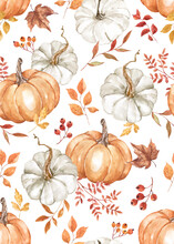 Thanksgiving Pumpkins Pattern Free Stock Photo - Public Domain Pictures