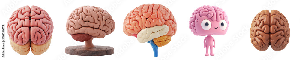 Brain 3d cartoon clay style collection isolated on transparent ...