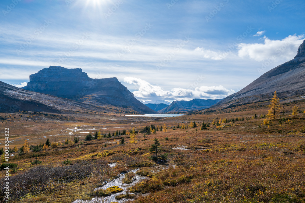 Photos of golden larches on Skoki Loop hike around Skoki Lodge ...