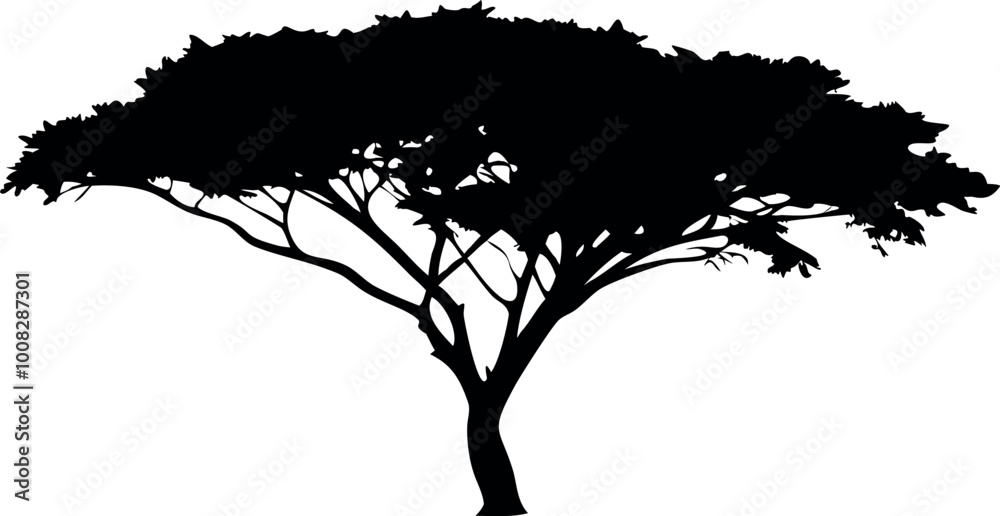 Acacia Tree Vector Collection, Set of Black and White silhouette of ...