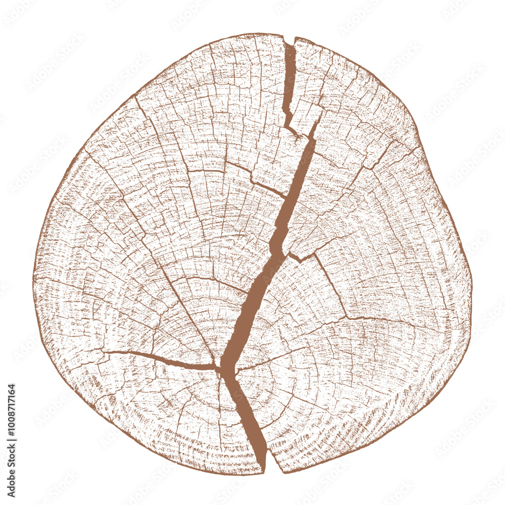 Tree wood texture. Wooden old trunk. Cut timber log. Abstract rings ...