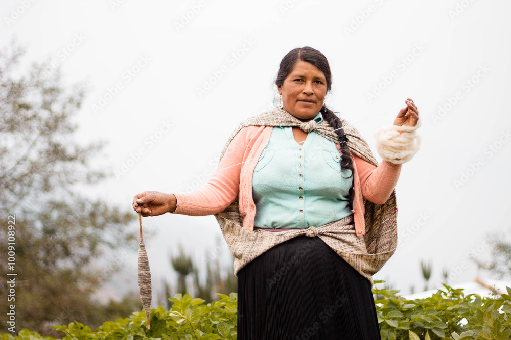 Mujer andina latinoamericana haciendo hilados de lana de oveja en el ...